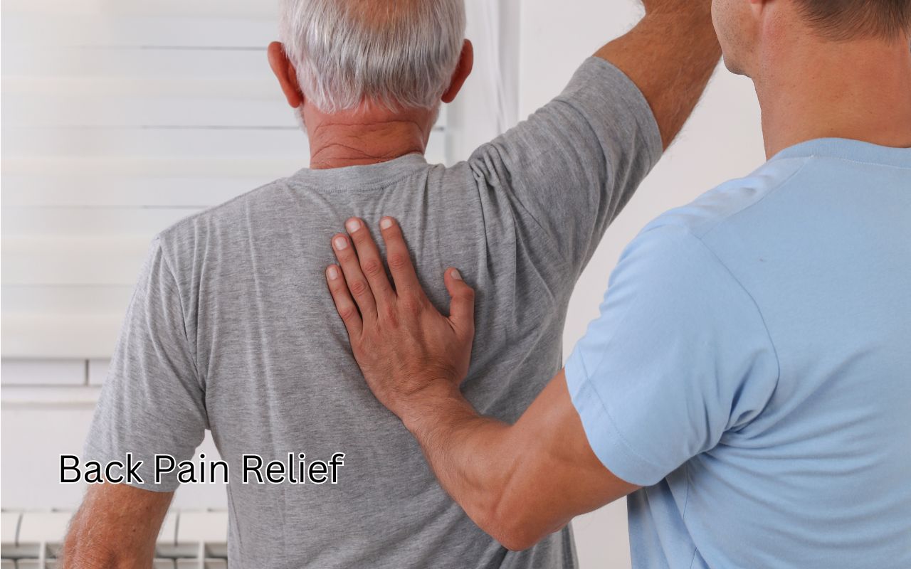 Physical Therapy for Back Pain: Effective Exercises for Back Pain ...